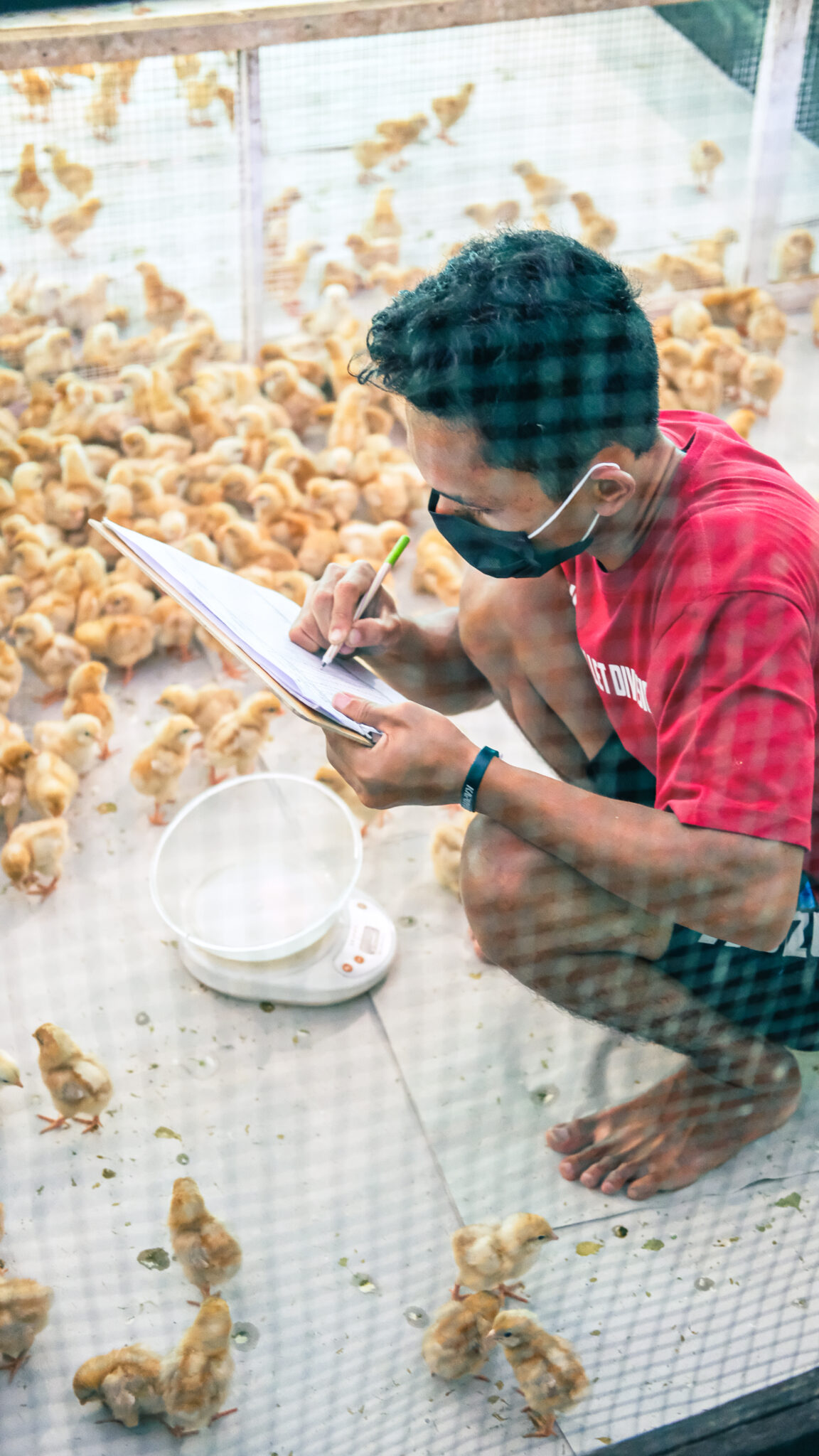 PT Agro Nurul Amanda